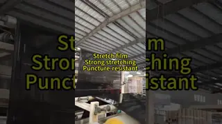 PE Stretch Film Pallet Wrapping Furniture Wrapping Goods Moving and Packaging