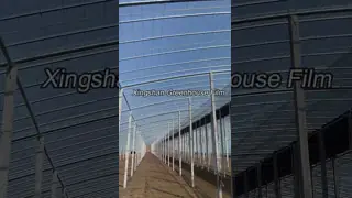 Anti-drip and anti-fog PO greenhouse film