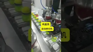 Fully Automatic Servo Pad Printing Machine Double Sided