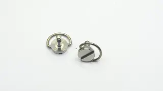 Mx  Flat Round Head Screw with C Ring Solution