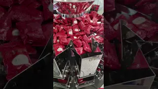 Automatic Bag-in-Bag Rotary Premade Pouch Packaging Machine