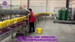 2307 P42 Carton Packing Gantry Palletizing Production Line