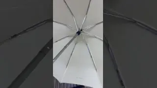 Aluminum Bone 4 Fold 8K Umbrella