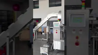 A Closer Look: Long Strip-Shaped Cable Tie Products PE Flat Bag Packaging Machine