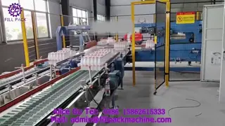 2299 P41 Gantry Palletizer