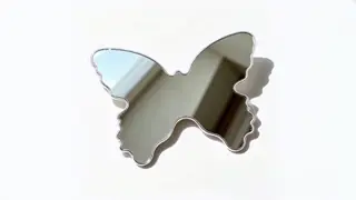 Laser Cut Butterfly Irregular Acrylic Mirror