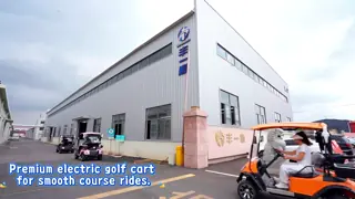 Colorful Stylish Electric Golf Cart