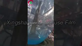 High-transmittance PO greenhouse film production