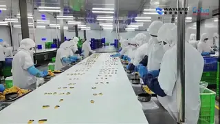 Premium Mango Processing Line Soft Chewy Dried Mango Solution
