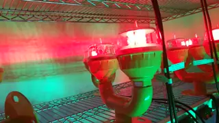 L810 Double Aviation Obstruction Light 32.5cd Low Intensity