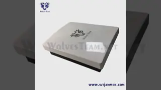 Handheld Type GPS WiFi5.8g Drone Signal VIP Protection Security UAV Jammer