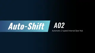 Automatic Shifting Hub for Low Maintenance City Bikes
