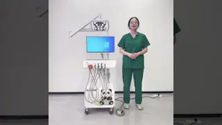 Veterinary Dental Treatment Unit All-in-One System with HD Intraoral Camera LED Butterfly Lamp