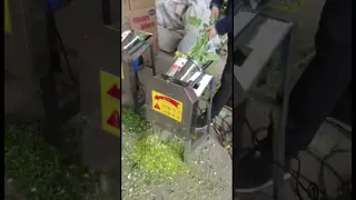 Heavy Duty Forage Chopper Efficient Farm Feed Processing