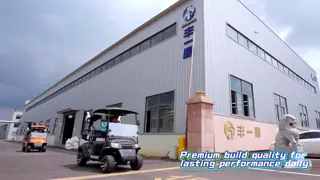 Sightseeing Buggy For Resort & Villa