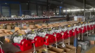 PA mini electric hoist China supplier