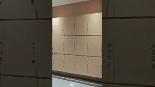 Complete On-site Installation Floor Mount HPL Lockers, Finished Floor Effect for Kindergarten Gym Ho