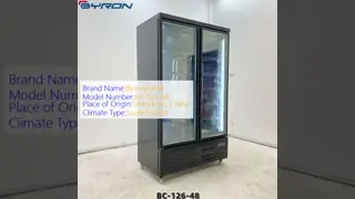 Commercial Vertical Display Freezer for Ice Cream and Cakes