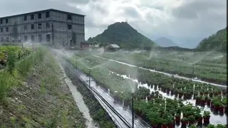 Heavy Duty Brass Impact Sprinkler for Large Scale Farming