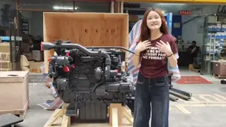 D924 Diesel Engine Assembly for Liebherr Construction Machinery