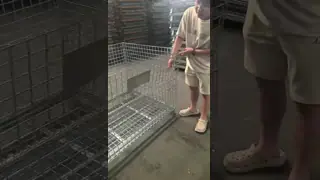 Heavy Duty Foldable Wire Mesh Storage Cage for Warehouses