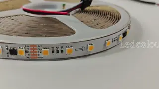DC24V DMX512 Single White LED Strip | 10 Pixels Per Meter, Cuttable 10cm, 2700K-6000K CCT