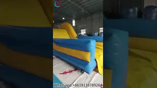 Custom Minion Inflatable Slide for Commercial Rental