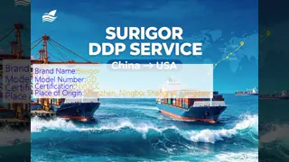 China to USA DDP Shipping Fast 18 Day Amazon FBA Delivery
