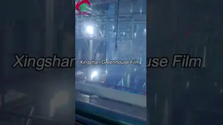 Production Showcase of High-Transparency, High-End PO Greenhouse Film