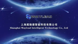Shanghai Waylead Intelligent Technology Co.,Ltd-Packaging machine supplier
