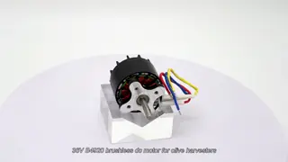 36V B4920 brushless dc motor for olive harvesters