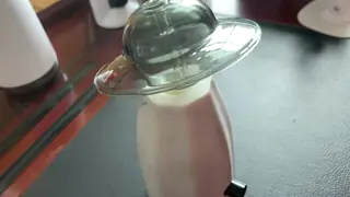 Elegant Glass Essential Oil Diffuser for Modern Home Decor