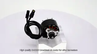 High quality B4028H brushless dc motor for olive harvesters
