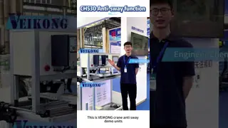 VEIKONG Latest new CH530 for lifting equipment with anti-sway function