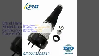 Fix Mercedes S Class W221 Rear Air Suspension Sag 2213205513
