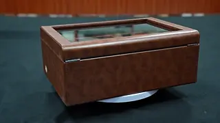 Multifunctional Watch & Jewelry Box - 10-Slot Dual-use Organizer