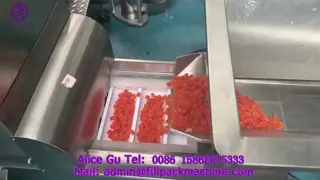 2271 J124 Weighing Turntable Bag-Feeding Block-Shaped Juice and Candy Filling and Sealing Machine