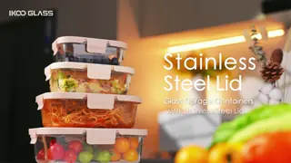 borosilicate glass food container with stainless steel lid