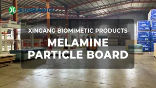 Eco Friendly Melamine Particle Board High Performance