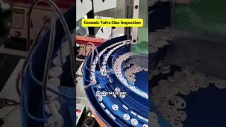 High Speed Ceramic Valve Disc Vision Inspection System