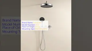 Luxury Wall Mounted Rain Shower System Upgrade