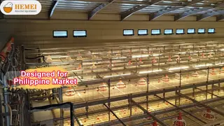 broilers and layers