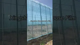 High Light Transmission PO Greenhouse Film