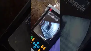Portable veterinary ultrasound scanner  BR-VET7