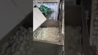 Fully Automatic Caps Printing Machine