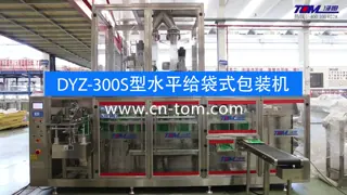 Dyz-300S Automatic Smart Horizontal Filling Packing Packaging Machine for Efficient Filling