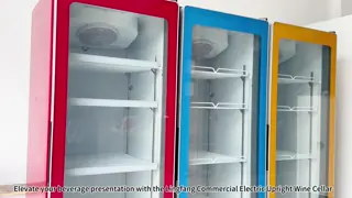Professional Commercial Glass Door Display Fridge
