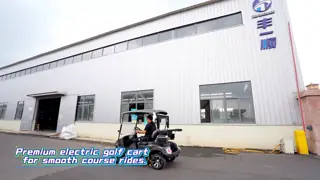 2 Seater Electric Golf Cart Direct From Factory