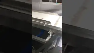 Fresh Shrimp Sorting