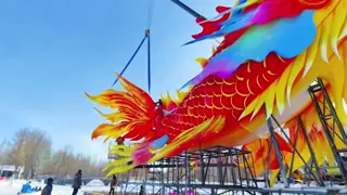 Our Factory Made Large Dragon Fish Lantern Installation